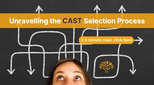 Unravelling CAST process | EU Training